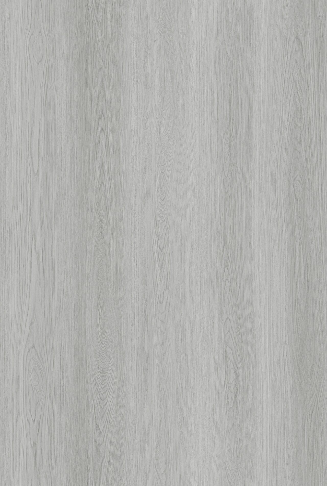 Silver Grey Oak Wood Flooring | Modern Laminate Flooring | Power Dekor NZ