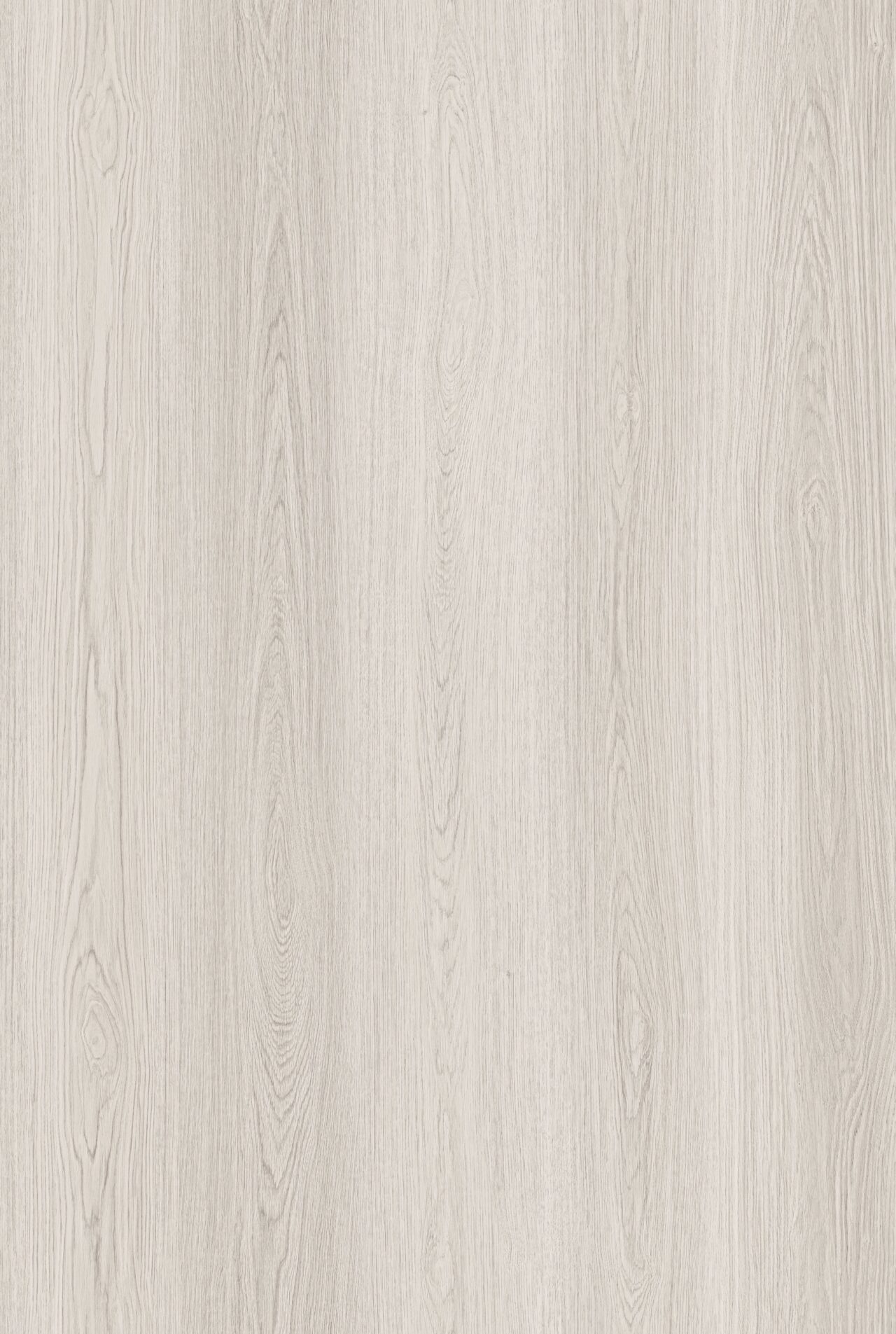 White Truffle Oak Flooring | Sophisticated Light-Toned Laminate – Power ...
